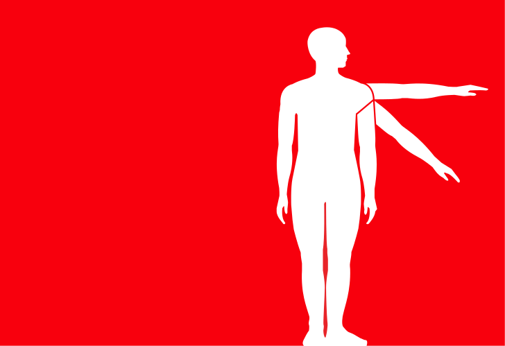 Cuidado Capilar y Belleza | Farmacias Ahumada